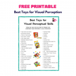 Miss Jaime, O.T.'s Favorite Visual Perception Toys for Children